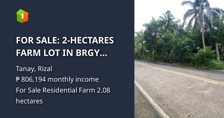 FOR SALE: 2-HECTARES FARM LOT IN BRGY SAMPALOC TANAY TANAY, RIZAL NEAR ...
