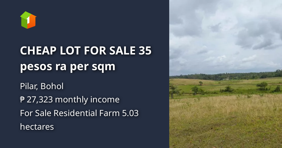 CHEAP LOT FOR SALE 35 pesos ra per sqm [Lots 🚜] (November 2023) in ...