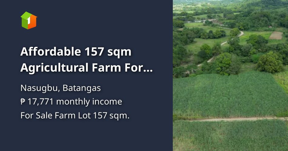 Affordable 157 sqm Agricultural Farm For Sale in Nasugbu Batangas [Lots ...