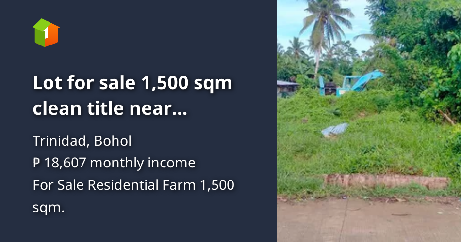 Lot for sale 1,500 sqm clean title near highway Trinidad Bohol 1.2m ...