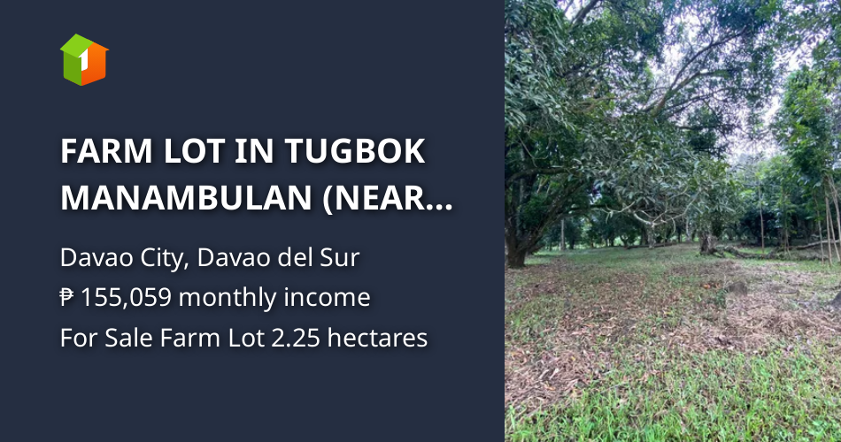 FARM LOT IN TUGBOK MANAMBULAN (NEAR UP SPORTS COMPLEX) [Lots 🚜 ...