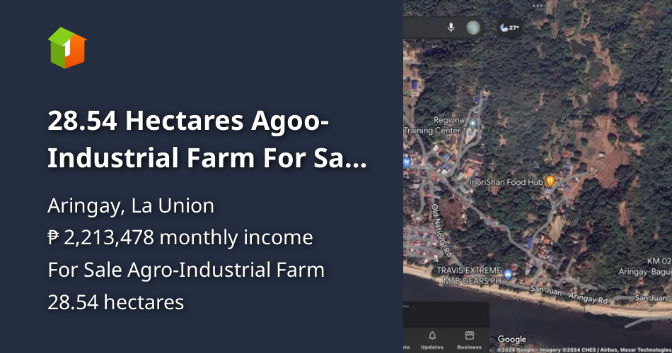28.54 Hectares Agoo-Industrial Farm For Sale in Aringay, La Union [Lots ...