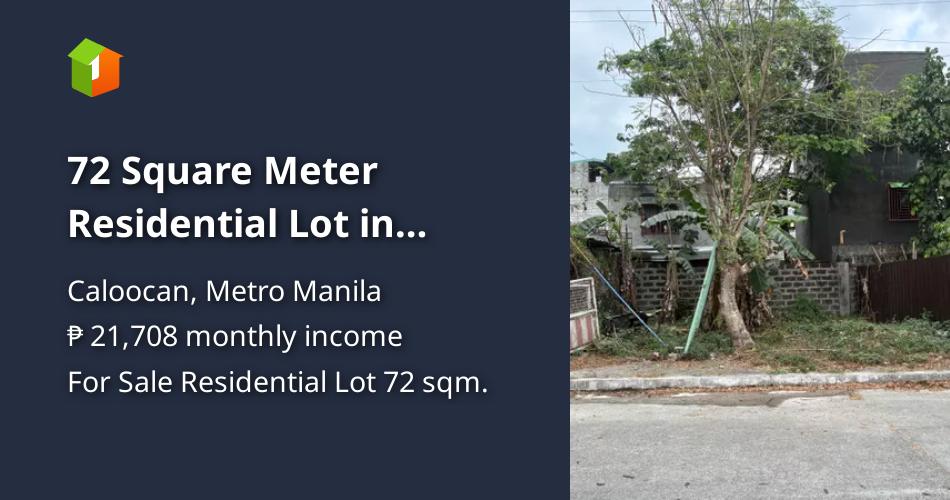 72 Square Meter Residential Lot in Parkview Heights, Caloocan [Lots 🚜 ...