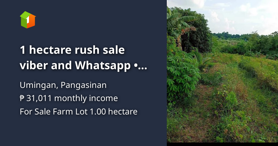 1 hectare rush sale viber and Whatsapp • look 4 • E. [Lots 🚜 ...