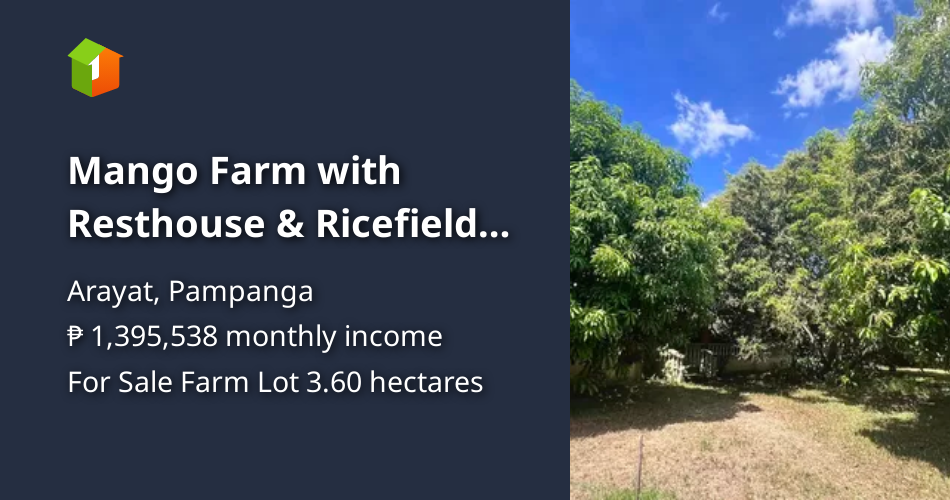 Mango Farm with Resthouse & Ricefield For Sale in Arayat, Pampanga ...
