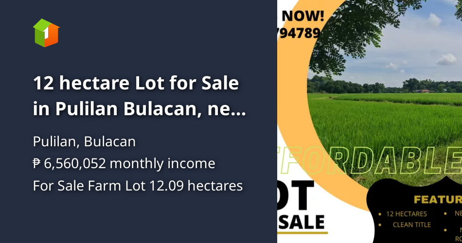 12 hectare Lot for Sale in Pulilan Bulacan, near Bypass Road • NLEX ...