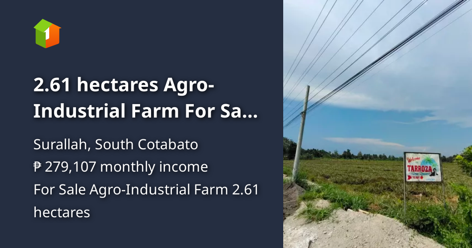 2.61 hectares Agro-Industrial Farm For Sale in Surallah South Cotabato ...
