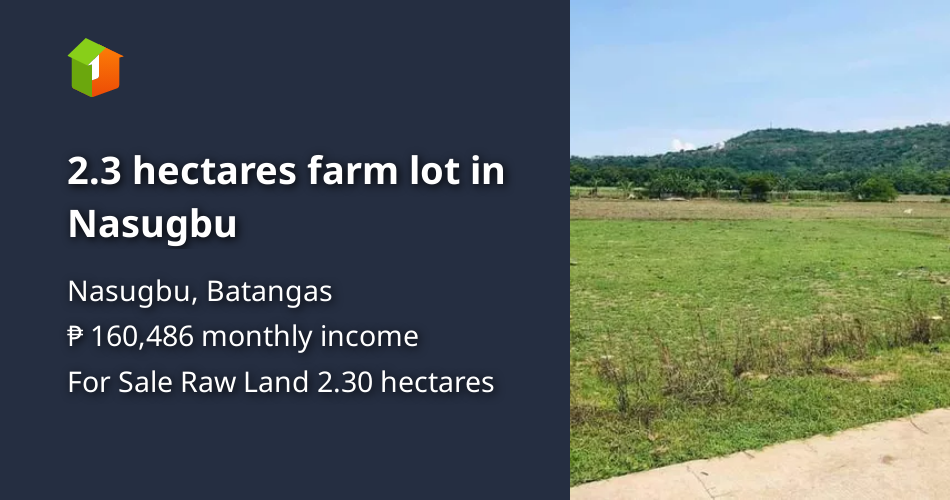 2.3 hectares farm lot in Nasugbu [Lots 🚜] (November 2022) in Nasugbu ...