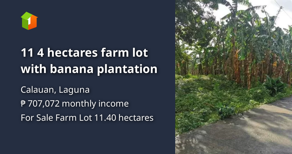 11 4 hectares farm lot with banana plantation [Lots 🚜] (April 2023) in ...