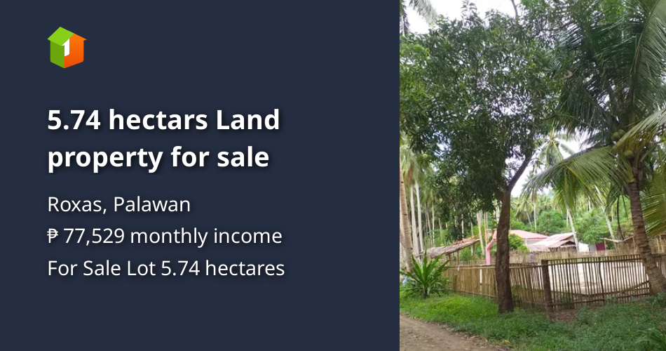 5.74 hectars Land property for sale [Lots 🚜] (November 2023) in Roxas ...