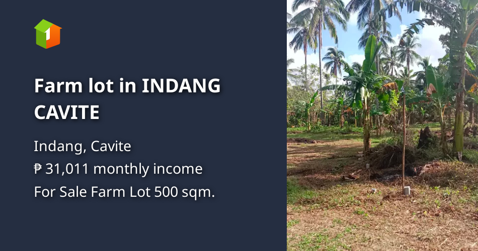 Farm lot in INDANG CAVITE [Lots 🚜] (February 2025) in Indang, Cavite ...
