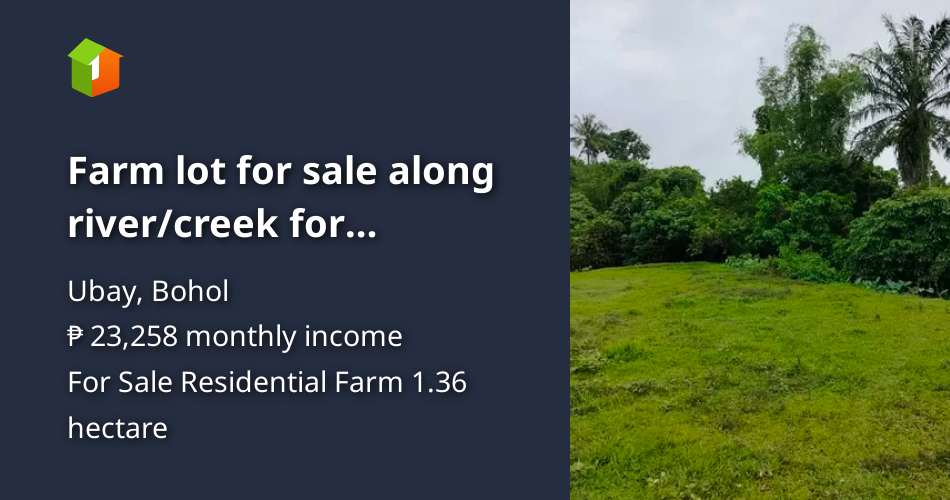 Farm lot for sale along river/creek for farming/residential [Lots 🚜 ...