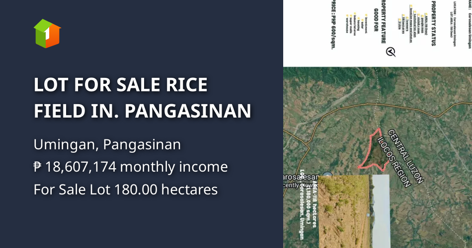 LOT FOR SALE RICE FIELD IN. PANGASINAN [Lots 🚜] (December 2025) in ...