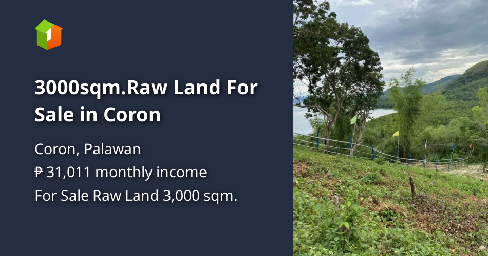 3000sqm.Raw Land For Sale in Coron [Lots 🚜] (November 2025) in Coron ...