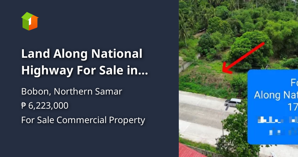Land Along National Highway For Sale in Bobon Northern Samar ...