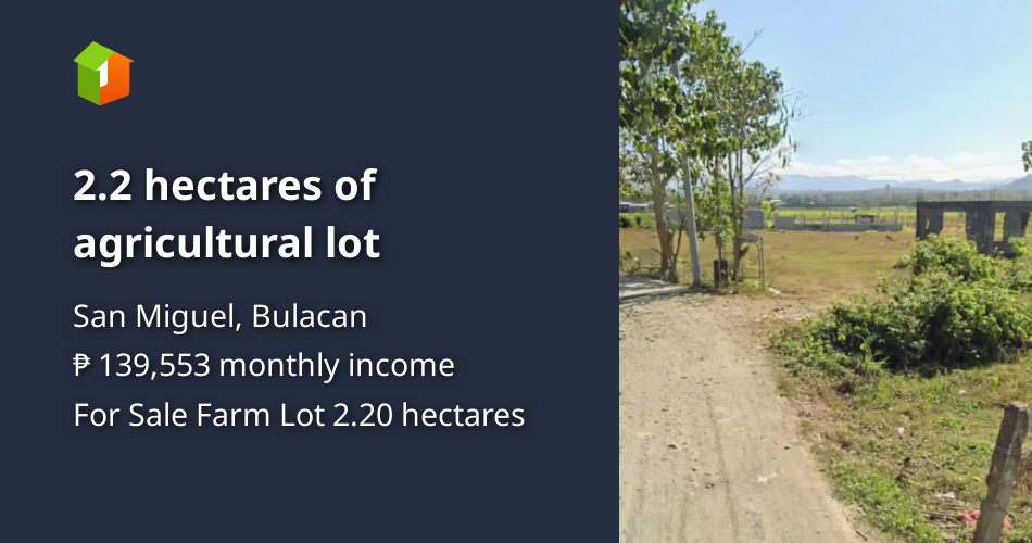 2.2 hectares of agricultural lot [Lots 🚜] (October 2025) in San Miguel ...