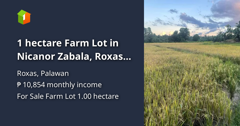 1 hectare Farm Lot in Nicanor Zabala, Roxas, Palawan [Lots 🚜] (October ...