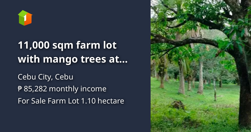 11,000 sqm farm lot with mango trees at cambinocot cebu city 500/sqm ...