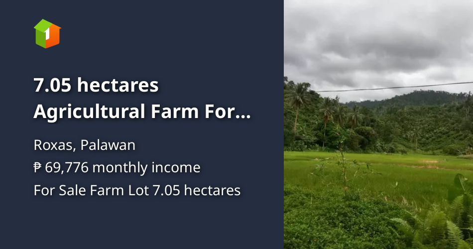 7.05 hectares Agricultural Farm For Sale in Magara, Roxas, Palawan ...