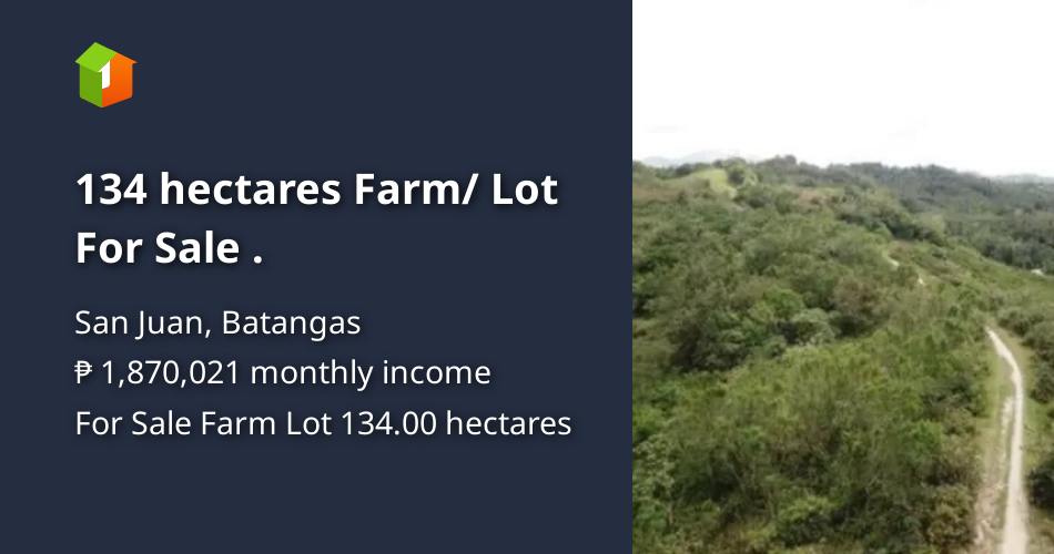 134 hectares Farm/ Lot For Sale . [Lots 🚜] (June 2025) in San Juan ...