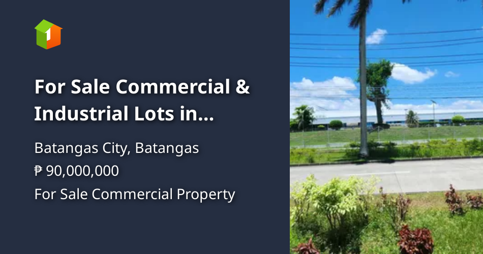 For Sale Commercial & Industrial Lots in Batangas City [Commercial ...