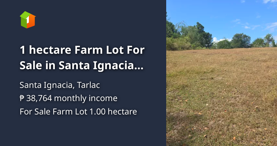 1 hectare Farm Lot For Sale in Santa Ignacia Tarlac [Lots 🚜] (January ...