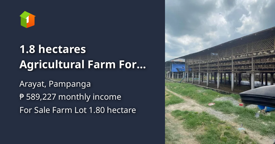 1.8 hectares Agricultural Farm For Sale in Arayat Pampanga [Lots 🚜 ...