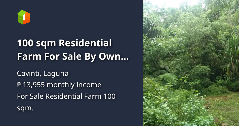 100 sqm Residential Farm For Sale By Owner in Cavinti Laguna [Lots 🚜 ...