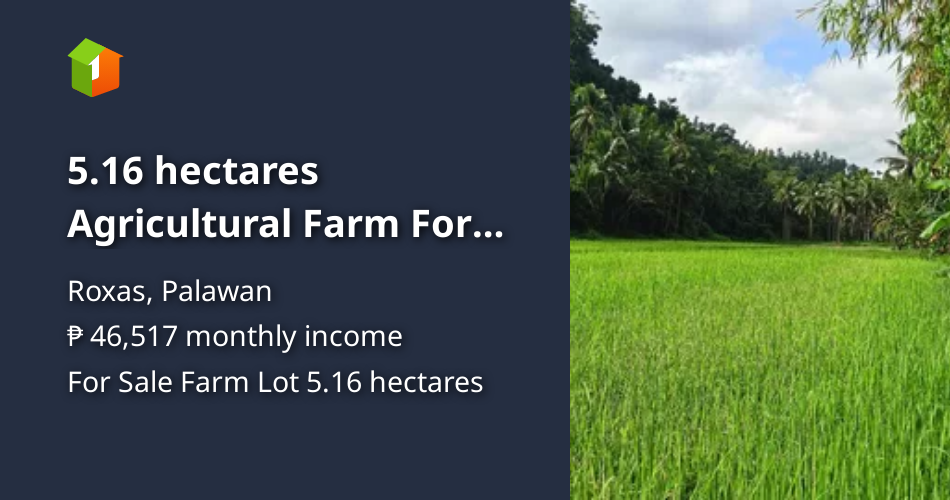 5.16 hectares Agricultural Farm For Sale in Roxas Palawan [Lots 🚜 ...