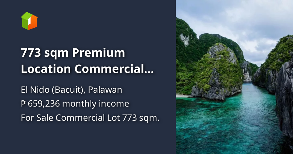 773 sqm Premium Location Commercial Lot For Sale in El Nido Bacuit ...