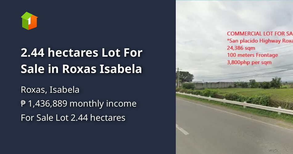 2.44 hectares Lot For Sale in Roxas Isabela [Lots 🚜] (September 2025 ...