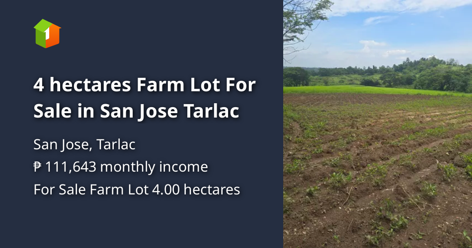4 hectares Farm Lot For Sale in San Jose Tarlac [Lots 🚜] (November 2025 ...