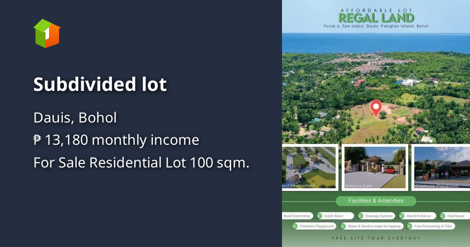 Subdivided lot [Lots 🚜] (March 2024) in Dauis, Bohol for sale