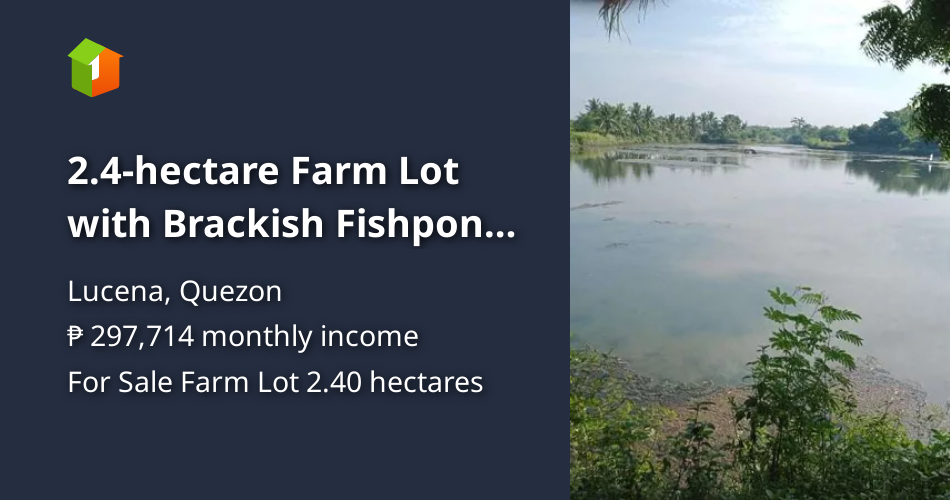 2.4-hectare Farm Lot with Brackish Fishpond and a House (Lucena City ...