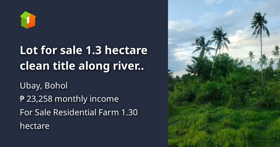 Lot for sale 1.3 hectare clean title along river.. [Lots 🚜] (November ...