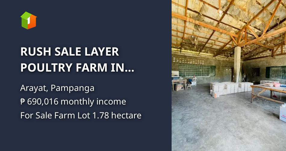 RUSH SALE LAYER POULTRY FARM IN PAMPANGA TAKE OVER EXISTING BUSINESS ...