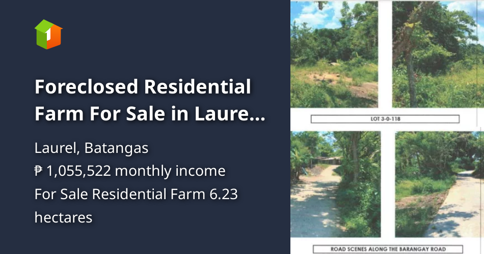 Foreclosed Residential Farm For Sale in Laurel Batangas [Lots 🚜 ...