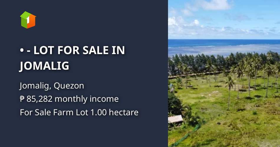 LOT FOR SALE IN JOMALIG [Lots 🚜] (February 2025) in Jomalig, Quezon for ...