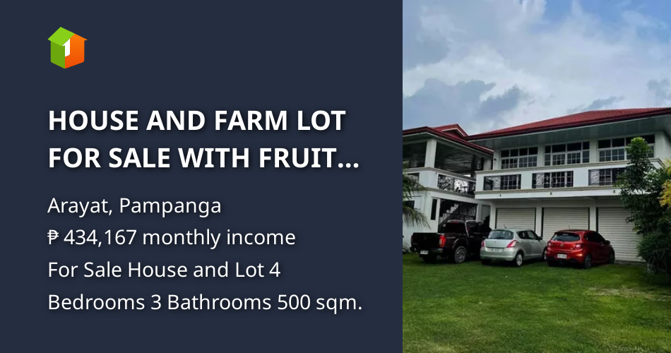 HOUSE AND FARM LOT FOR SALE WITH FRUIT BEARING TREES [Houses and Lots 🏘 ...