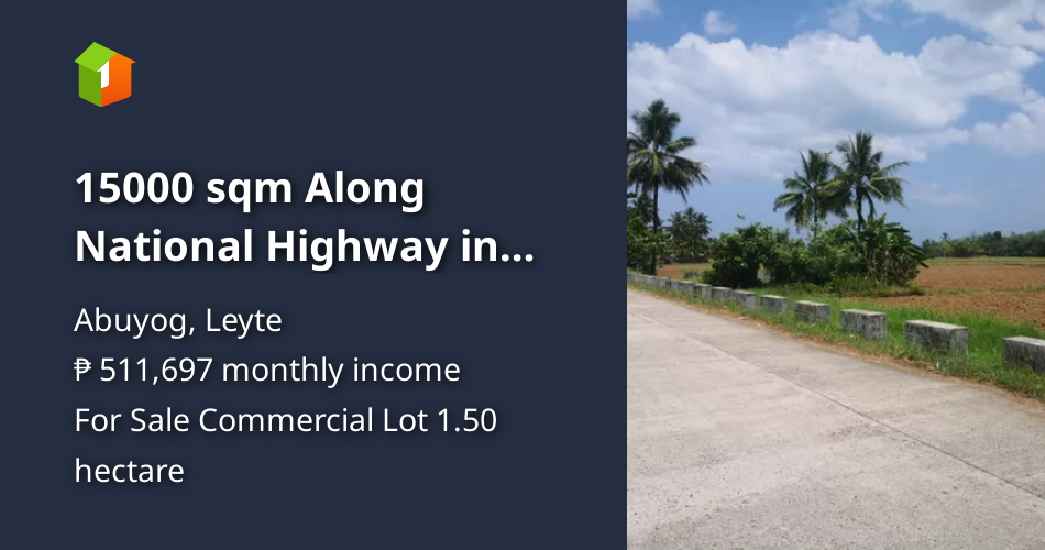 15000 sqm Along National Highway in Balocawe Abuyog Leyte [Lots 🚜 ...