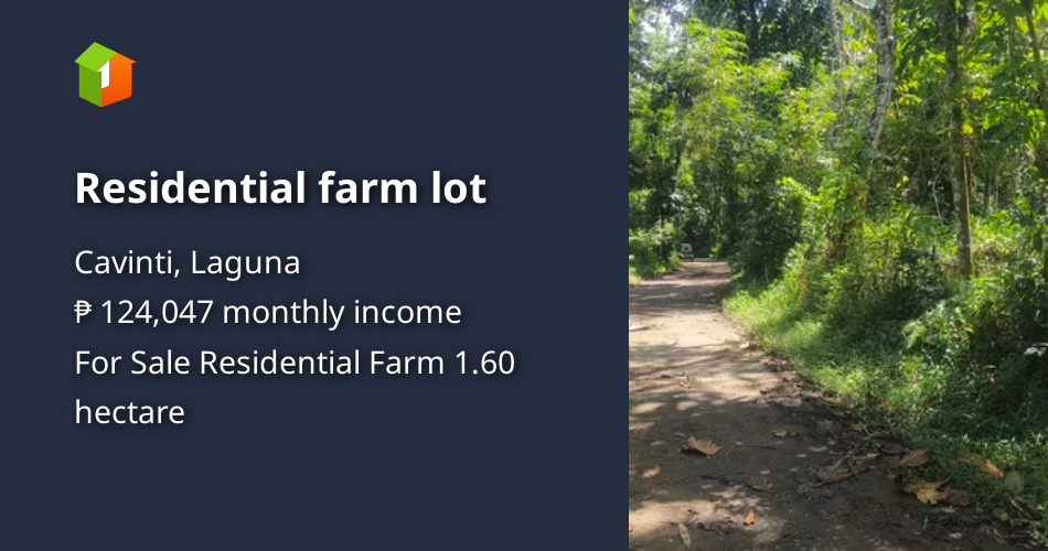Residential farm lot [Lots 🚜] (October 2025) in Cavinti, Laguna for sale