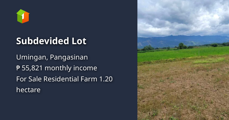 Subdevided Lot [Lots 🚜] (December 2023) in Umingan, Pangasinan for sale
