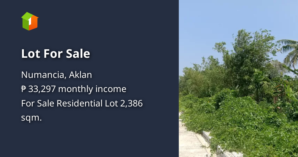 Lot For Sale [Lots 🚜] (February 2024) in Numancia, Aklan for sale