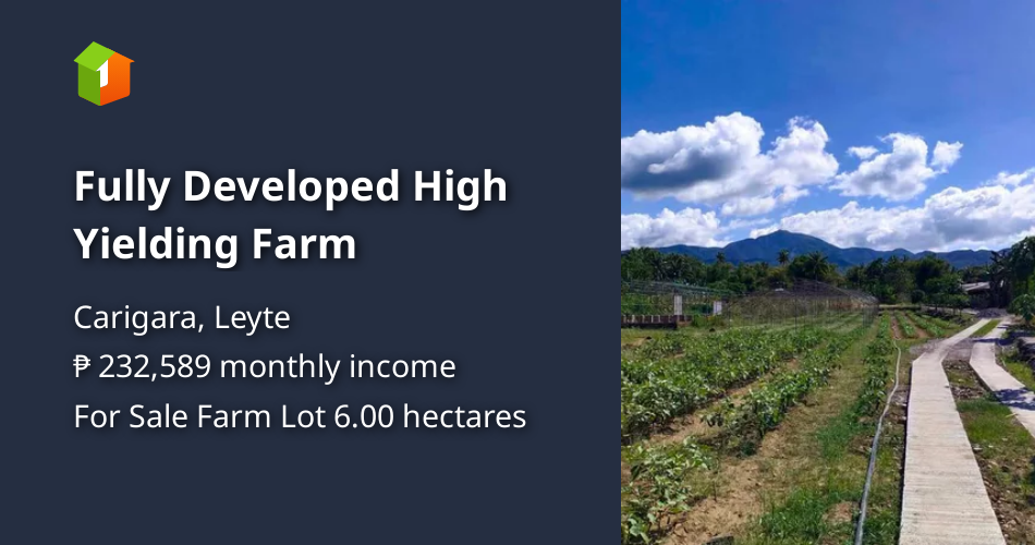 Fully Developed High Yielding Farm [Lots 🚜] (January 2025) in Carigara ...