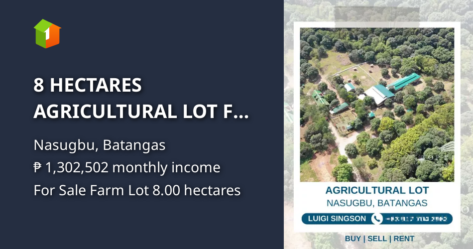 8 HECTARES AGRICULTURAL LOT FOR SALE NASUGBU BATANGAS [Lots 🚜] (June ...
