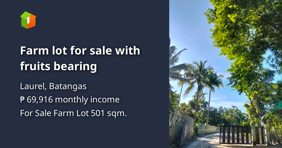 Farm lot for sale with fruits bearing [Lots 🚜] (February 2026) in ...