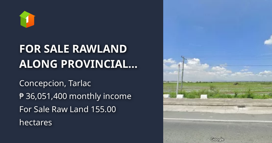 FOR SALE RAWLAND ALONG PROVINCIAL HIGHWAY IN TARLAC NEAR NLEX/SCTEX ...