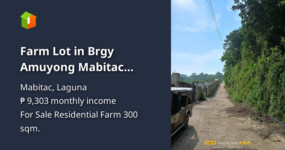 Farm Lot in Brgy Amuyong Mabitac Laguna [Lots 🚜] (September 2025) in ...