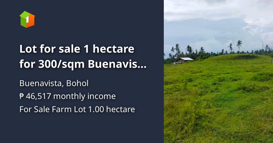 Lot for sale 1 hectare for 300/sqm Buenavista Bohol along river [Lots 🚜 ...