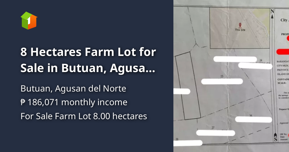 8 Hectares Farm Lot for Sale in Butuan, Agusan Del Norte [Lots 🚜 ...